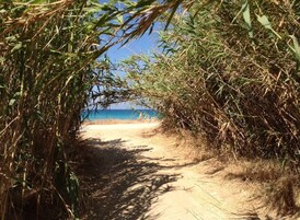 Perto da praia, toalhas de praia 