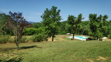 Área da propriedade