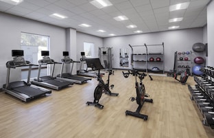 Academia com esteiras, bicicletas ergométricas, suporte para pesos e bolas de exercício.