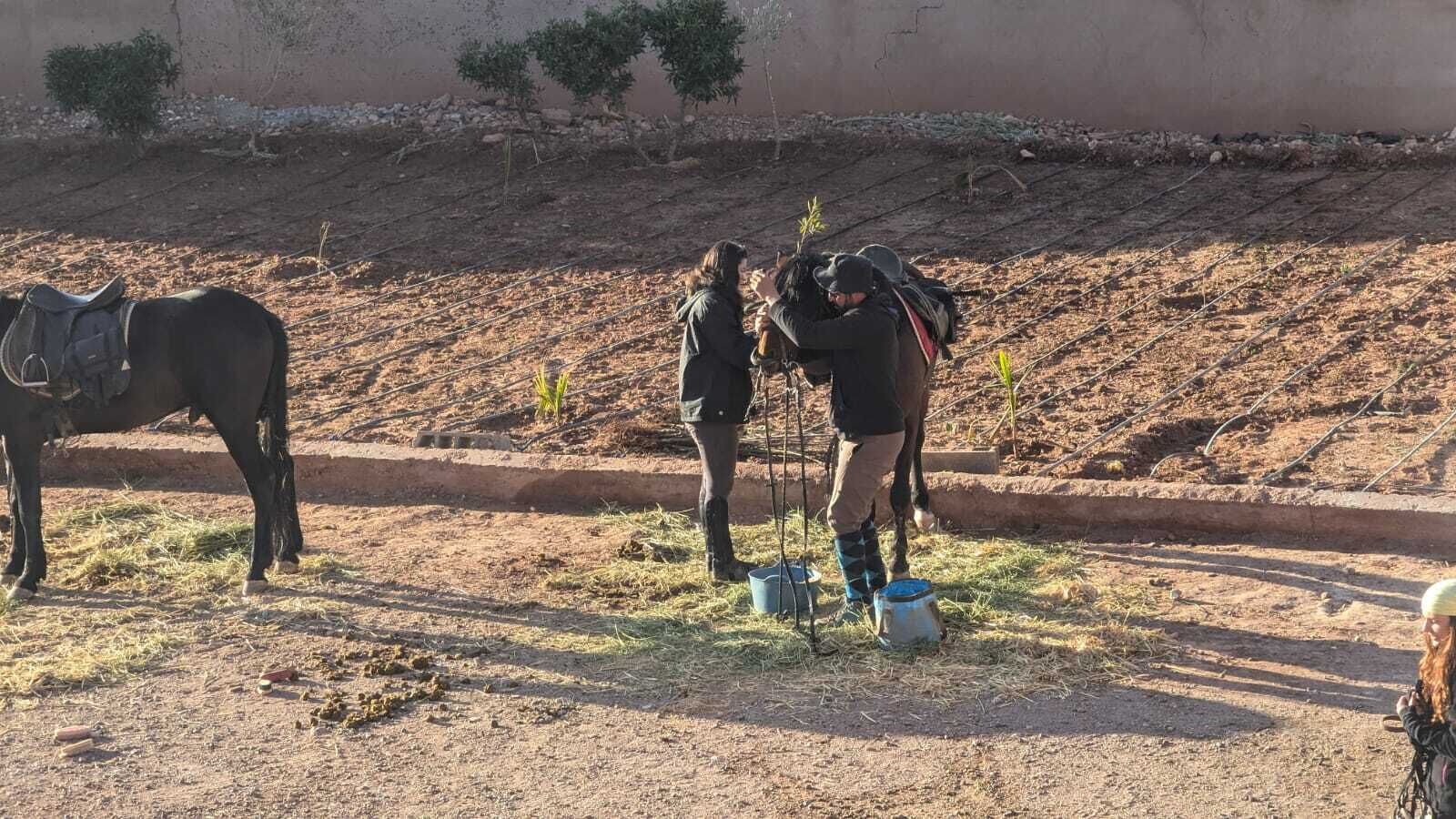 Um estábulo com um cavalo e duas pessoas, uma segurando uma câmera, em uma área seca e aberta com vegetação escassa.