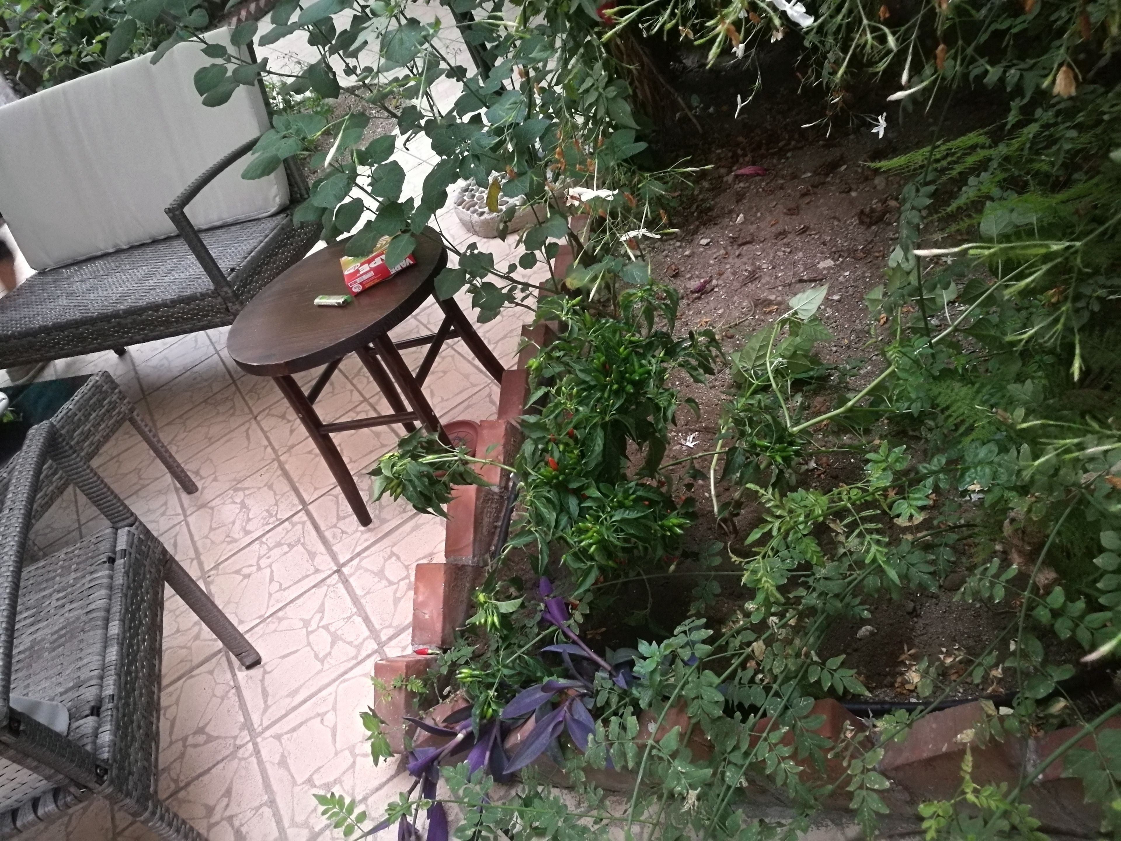 Um pátio com mesa redonda e cadeiras, rodeado por plantas em vasos e um pequeno jardim.