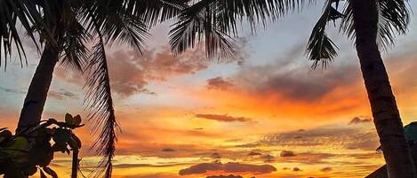 Uma praia privada, toldos de praia (sobretaxa), espreguiçadeiras