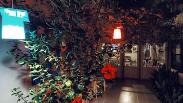Pátio interior