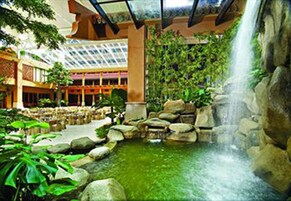 Comodidade do alojamento