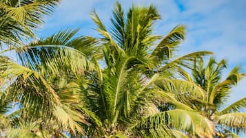 Vista para a praia ou o mar