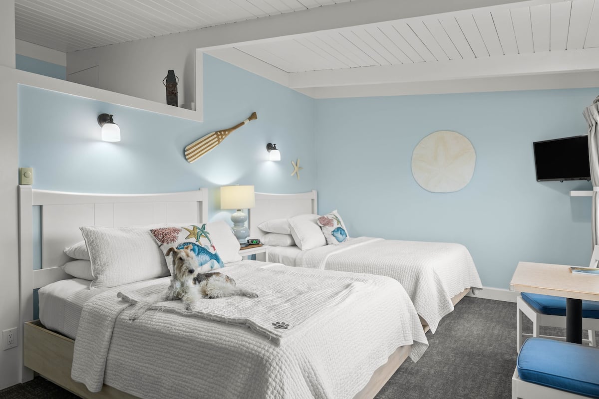 Quarto de hotel com duas camas, uma escrivaninha, uma televisão e um ventilador de teto.