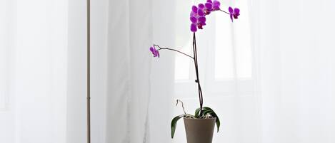 Um quarto com uma cama, uma mesa redonda com uma orquídea em vaso e um abajur.