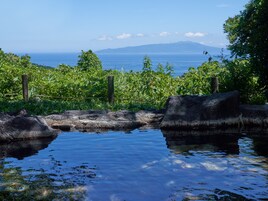Um lago tranquilo com águas cristalinas, rodeado por vegetação exuberante e uma cerca de madeira.