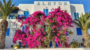Fachada do alojamento