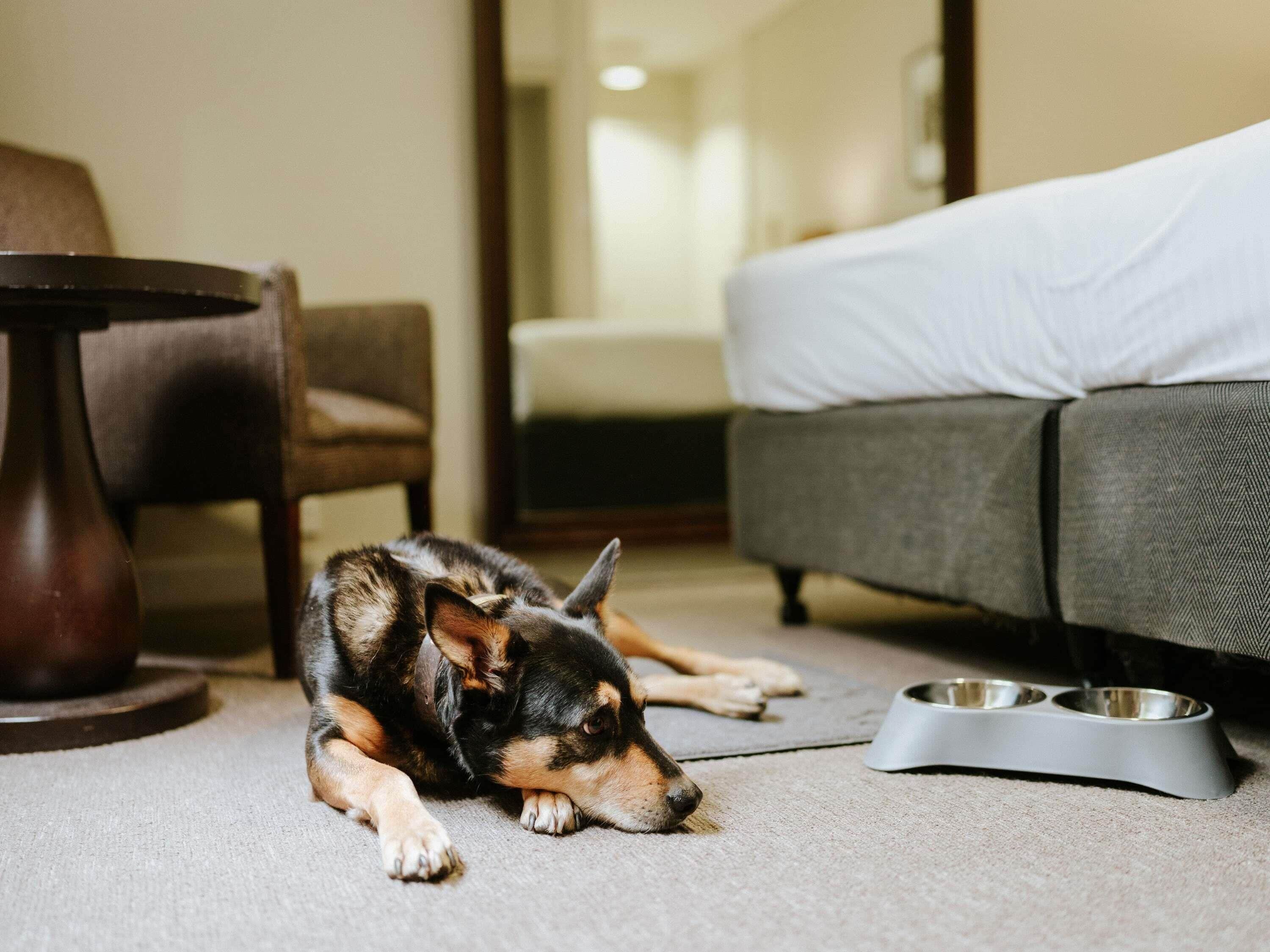 Quarto, 1 cama king-size | Ferro/tábua de engomar, roupa de cama fornecida 