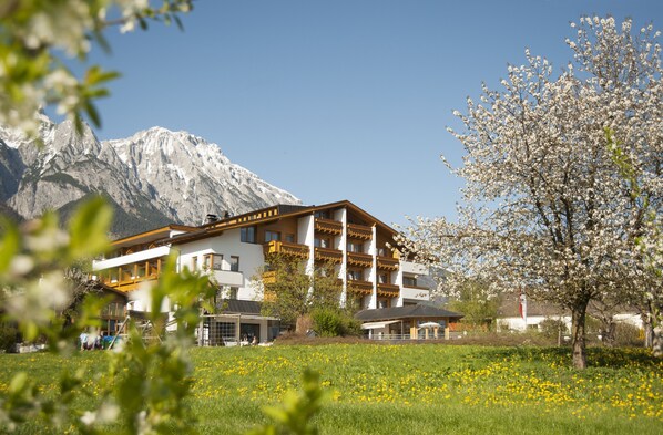 Hotel com montanhas ao fundo, várias varandas e um campo de flores amarelas.