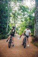 Duas pessoas de bicicleta em um caminho pavimentado, cercadas por árvores.