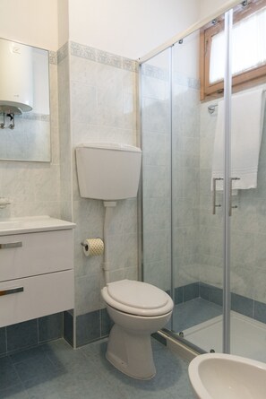 Chuveiro, secador de cabelo (mediante solicitação), bidê 