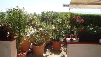 Terraço/pátio
