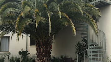 Pormenores do exterior