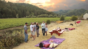 Terrenos do alojamento