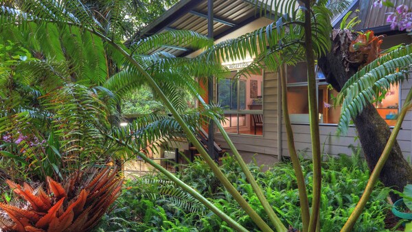 Chambers Wildlife Rainforest Lodges - Queensland