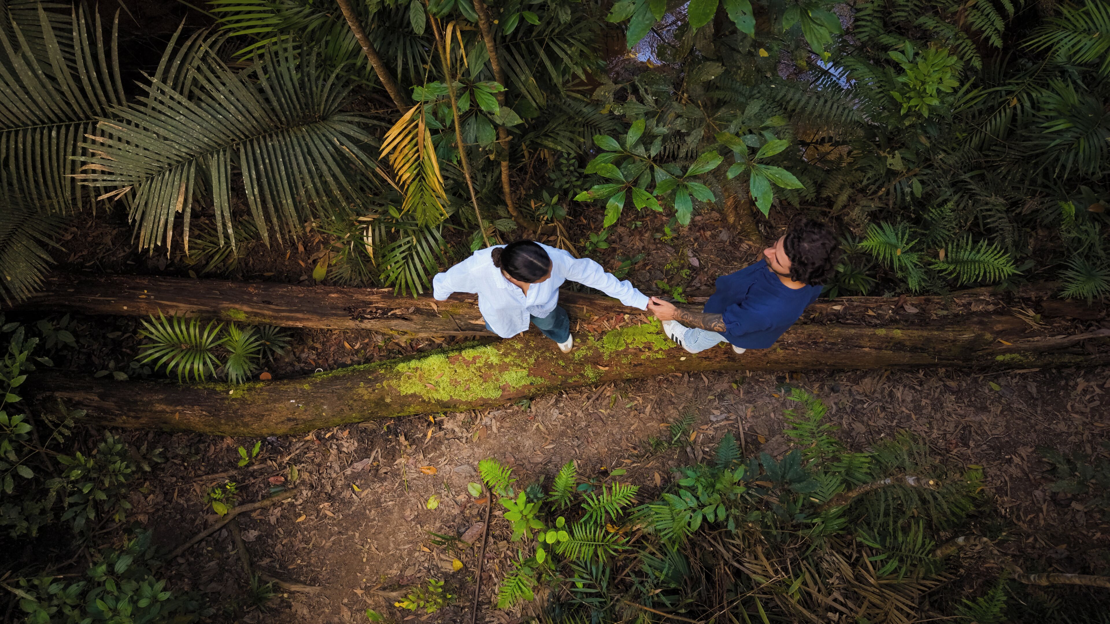 Duas pessoas caminhando sobre um tronco coberto de musgo em uma floresta densa.
