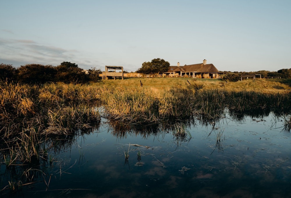 Hlosi Game Lodge - Amakhala Game Reserve - Western Cape