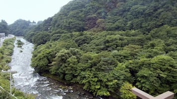 Um rio serpenteando por uma área densamente arborizada, com uma ponte em primeiro plano.