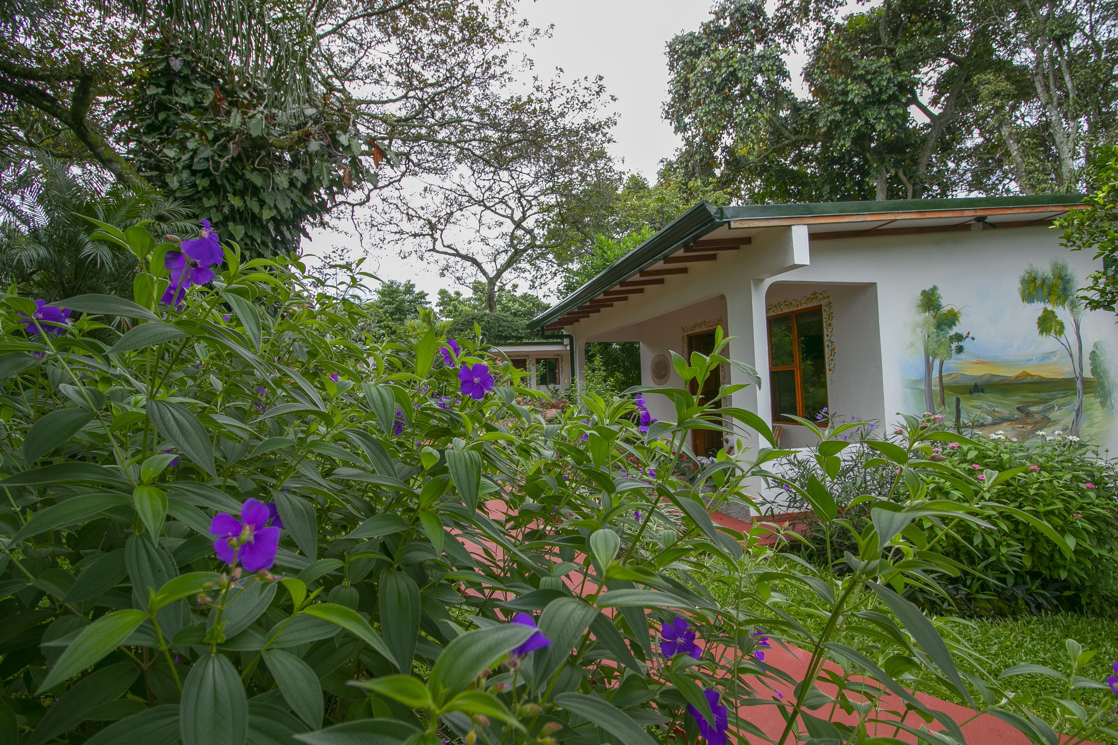 Um edifício com telhado vermelho e paredes brancas, rodeado por vegetação exuberante e flores roxas.