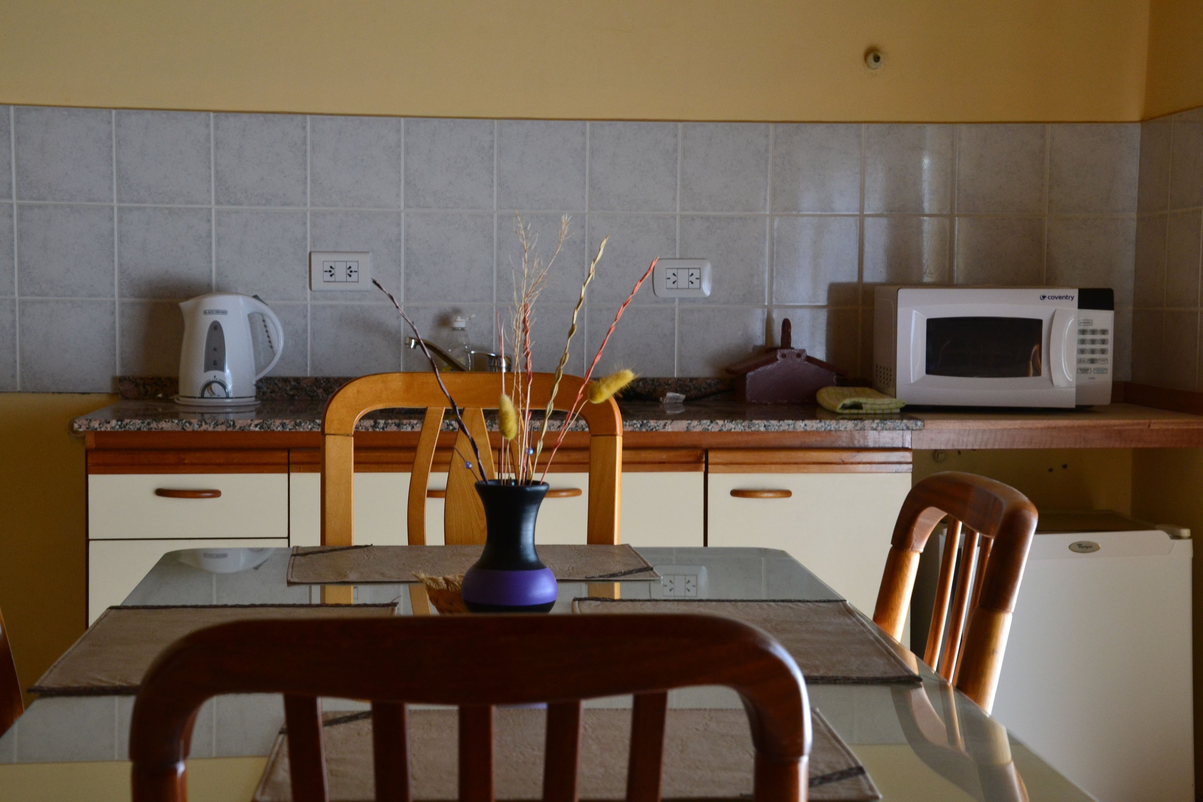 Uma cozinha com micro-ondas, chaleira e um vaso com galhos no balcão.