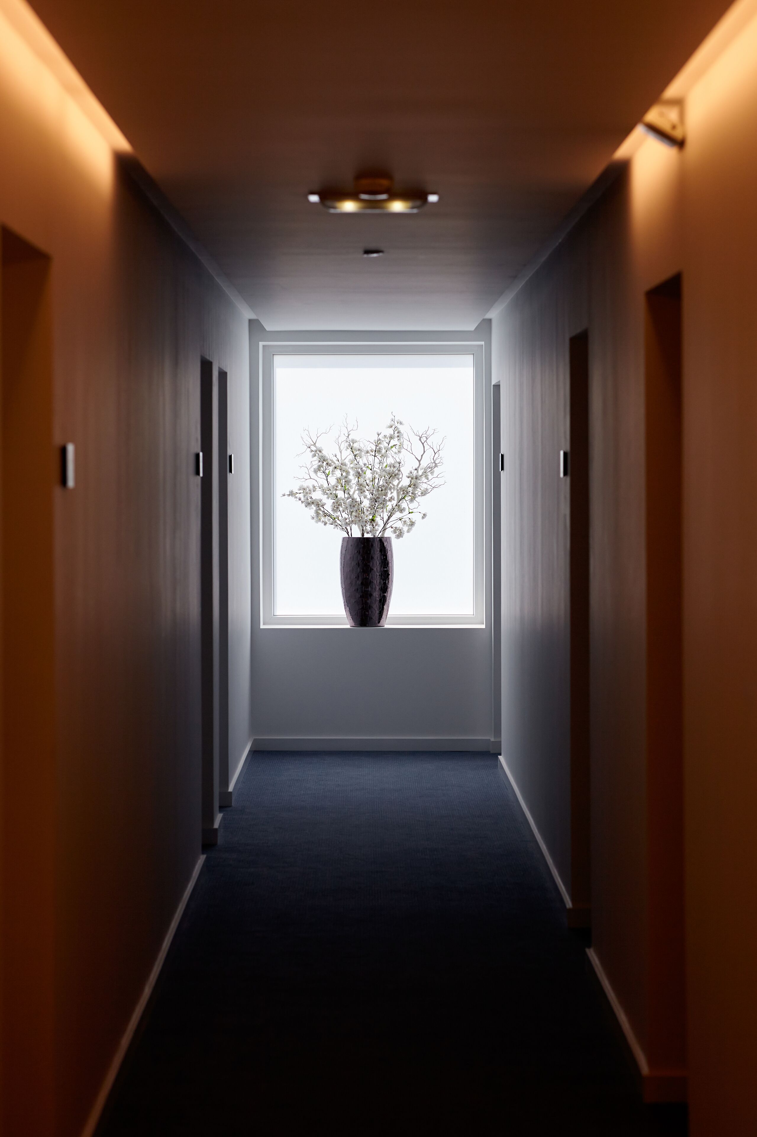 Pormenores do interior