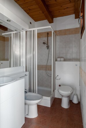 Chuveiro, bidê, toalhas de banho, papel higiênico