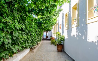 Fachada da propriedade