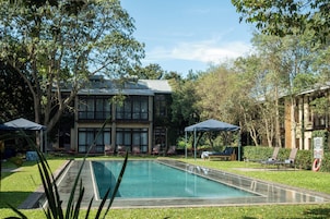Piscina com espreguiçadeiras e guarda-sóis, cercada por árvores e um edifício com grandes janelas.