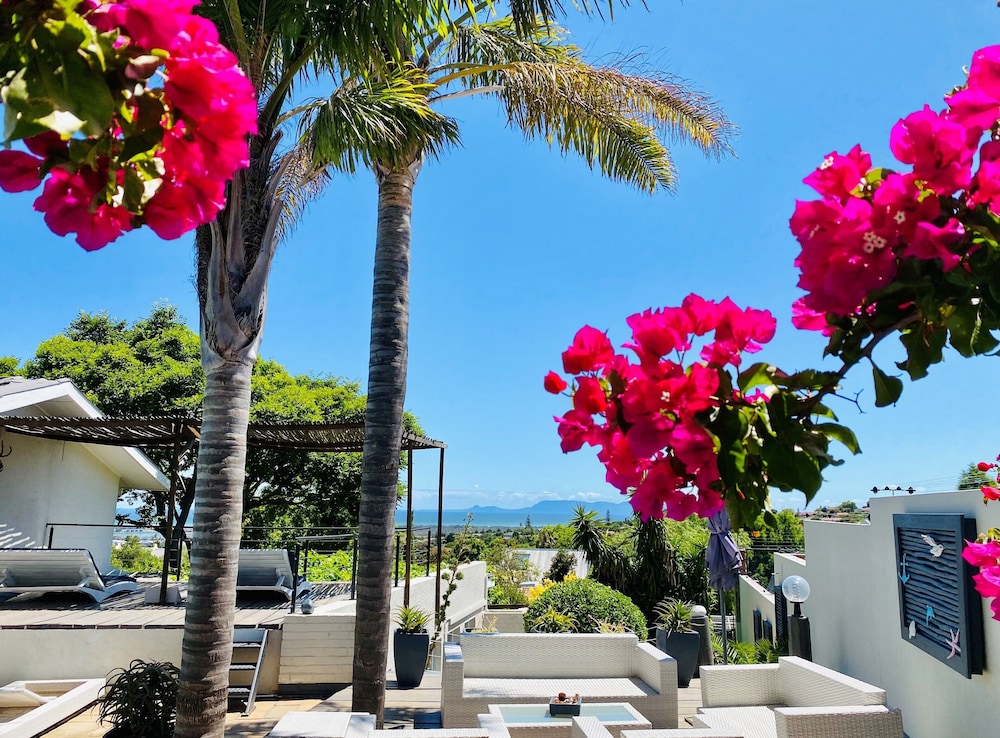 Southern Cross Guest House - Somerset West