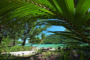 Na praia, praia de areia branca, mergulho, snorkel
