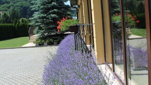 Um edifício com acesso pavimentado, fileira de plantas de lavanda, uma janela grande e uma árvore com flores vermelhas.