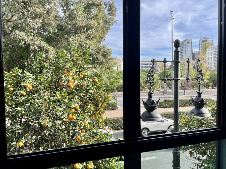 Roupas de cama antialérgicas, edredons de pluma, frigobar, escrivaninha