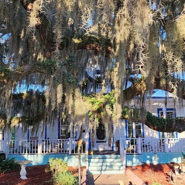 Tybee Island Inn - Tybee Island, GA