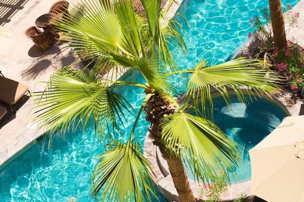 Piscina exterior, guarda-sóis, espreguiçadeiras