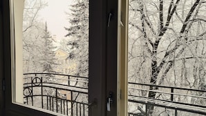 Janela com vista para uma varanda e árvores cobertas de neve.