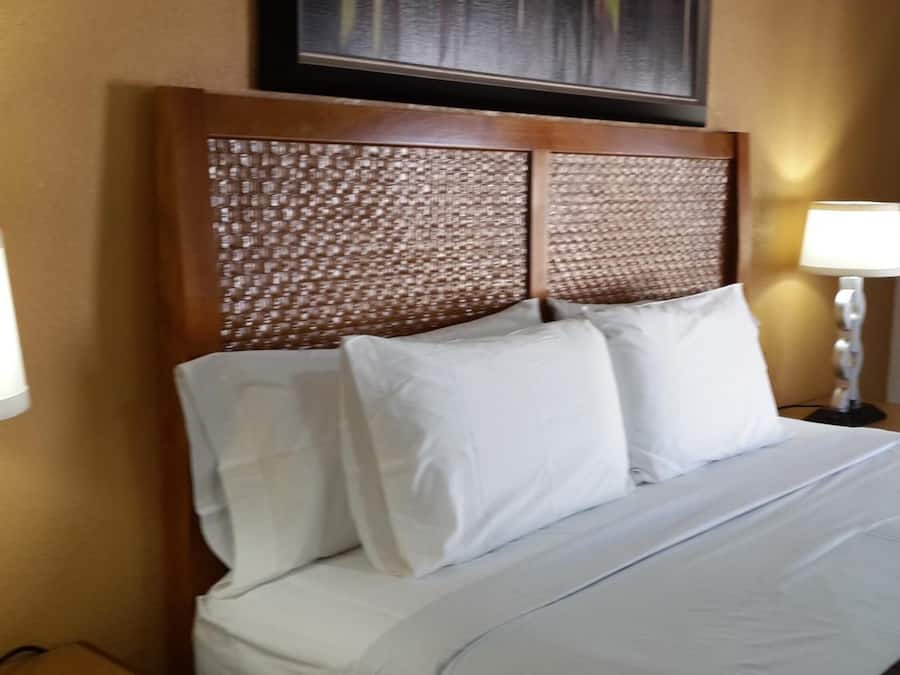 Wi-fi grátis, roupa de cama fornecida, despertadores