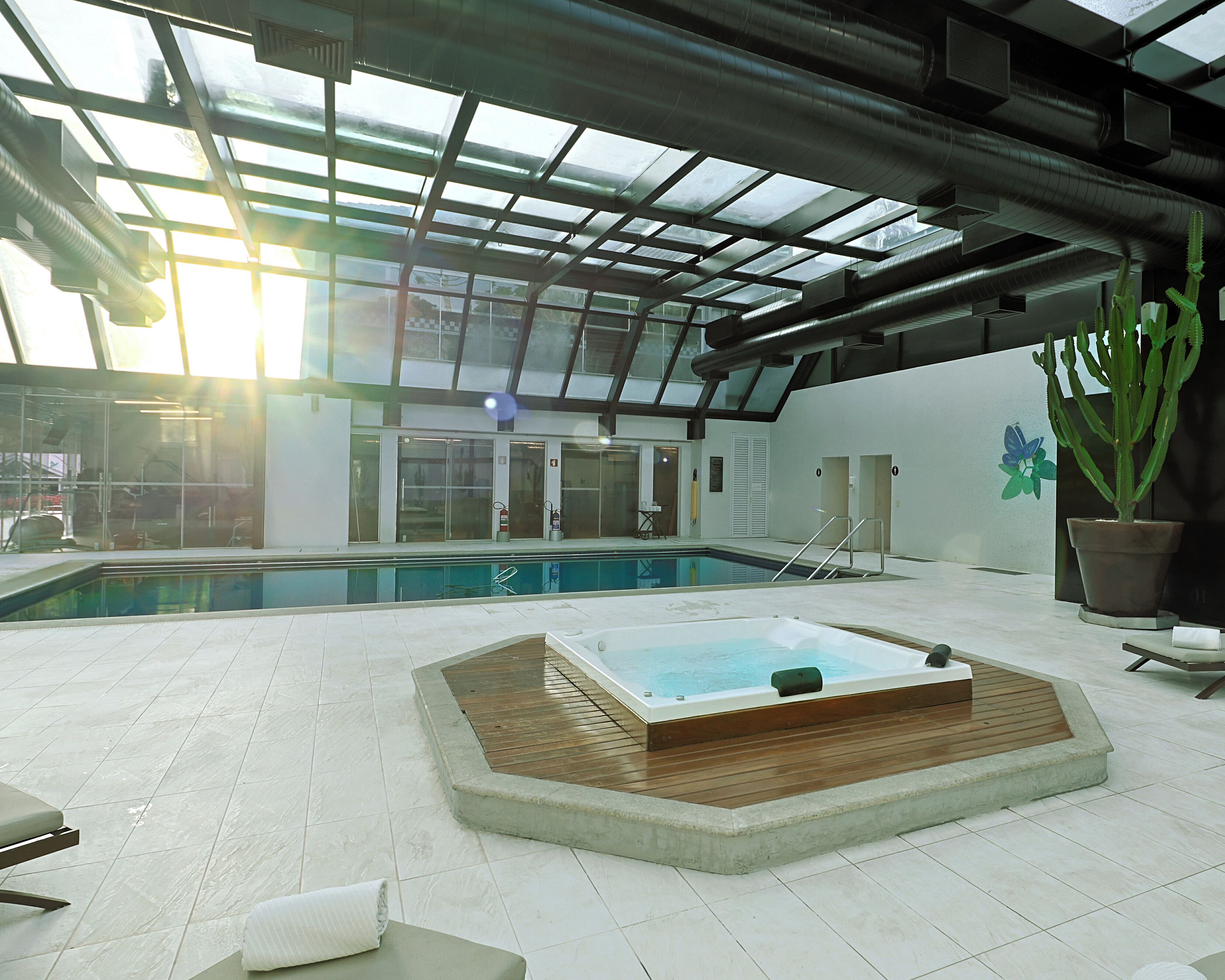 Piscina interna com hidromassagem, teto de vidro e uma planta cacto.