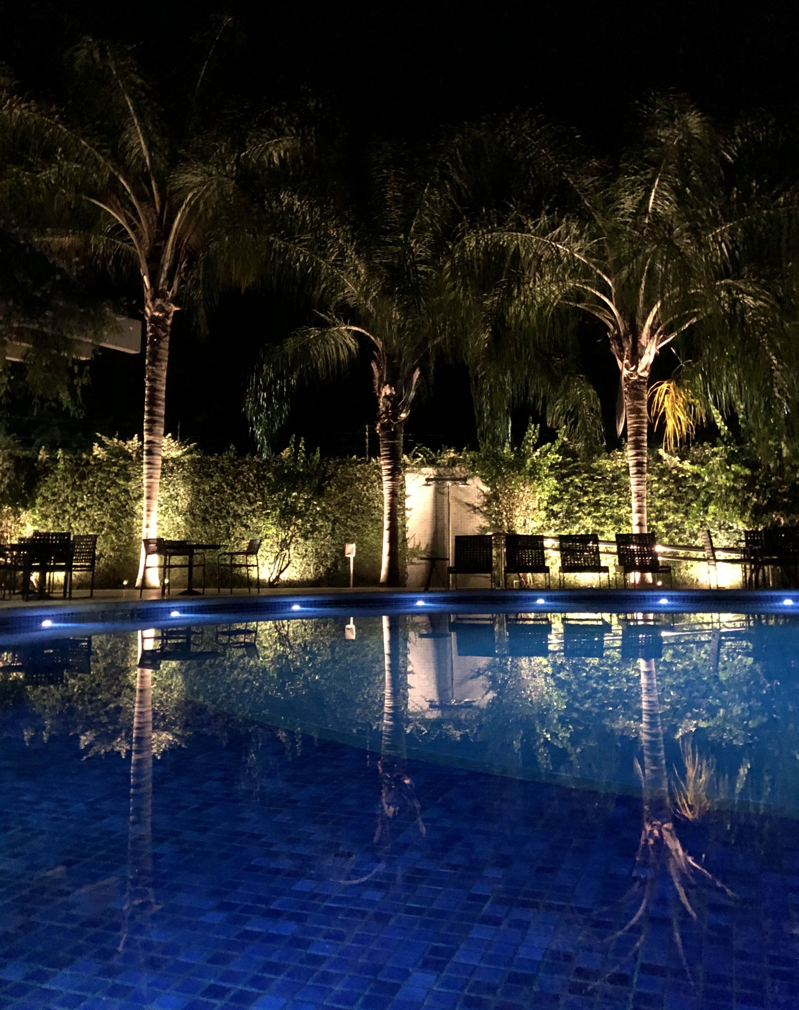 Área de piscina à noite, com palmeiras e espreguiçadeiras.