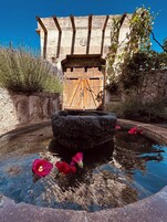 Villa Exclusiva | Vista para o jardim