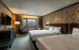 Quarto duplo premier | Roupas de cama premium, edredons de pluma