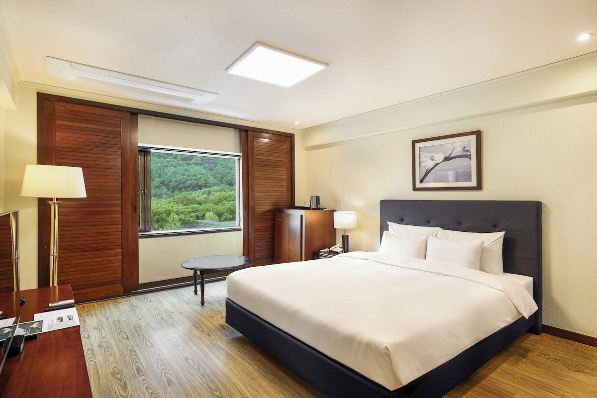 Quarto de hotel com cama, escrivaninha, cadeira, luminária, janela com vista para vegetação e um quadro na parede.