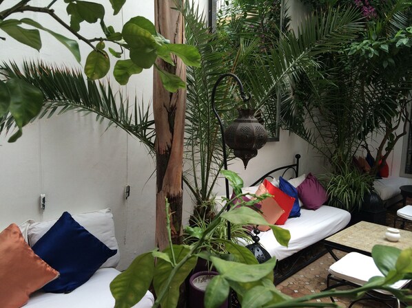 Um jardim interno aconchegante com sofá, almofadas e diversas plantas.
