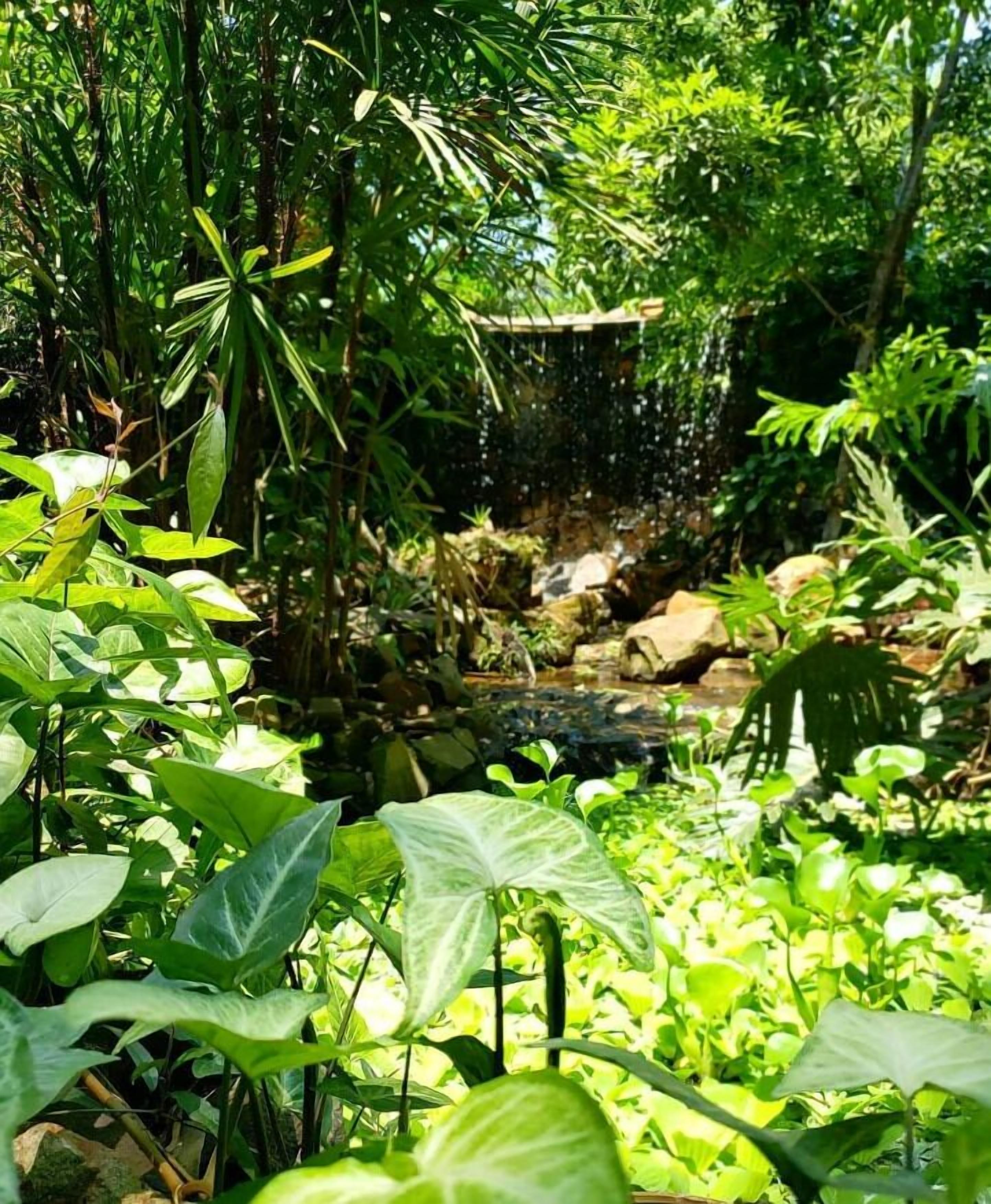 Um jardim exuberante com uma pequena cascata, vegetação densa e diversas plantas.