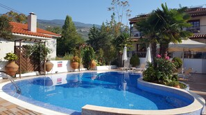 Piscina com borda azulejada, rodeada por plantas em vasos e um pergolado.