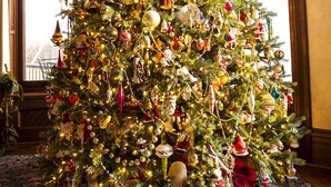 Uma árvore de Natal grande e ricamente decorada numa sala com carpete estampado, janelas amplas e cortinas.