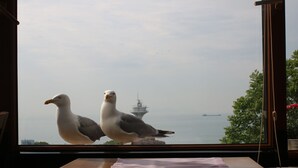 Duas gaivotas pousadas num parapeito com vista para o mar e um farol ao longe.