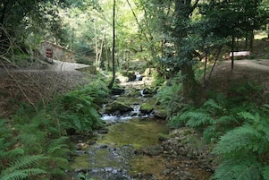 Terrenos do alojamento