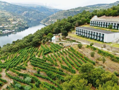 Douro Palace Hotel Resort and Spa